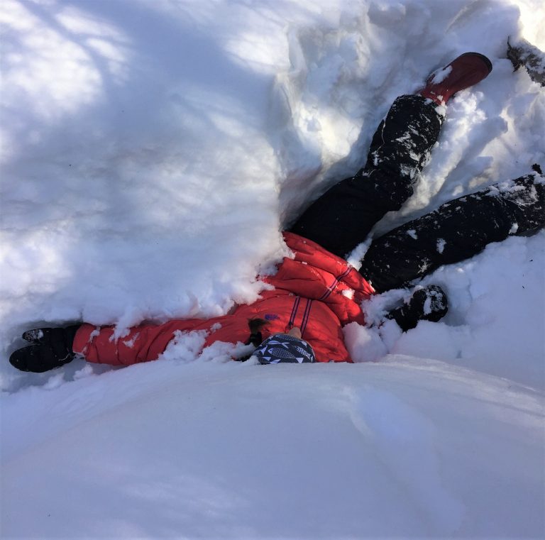 How To Survive A Tree Well - Points North Physical Therapy